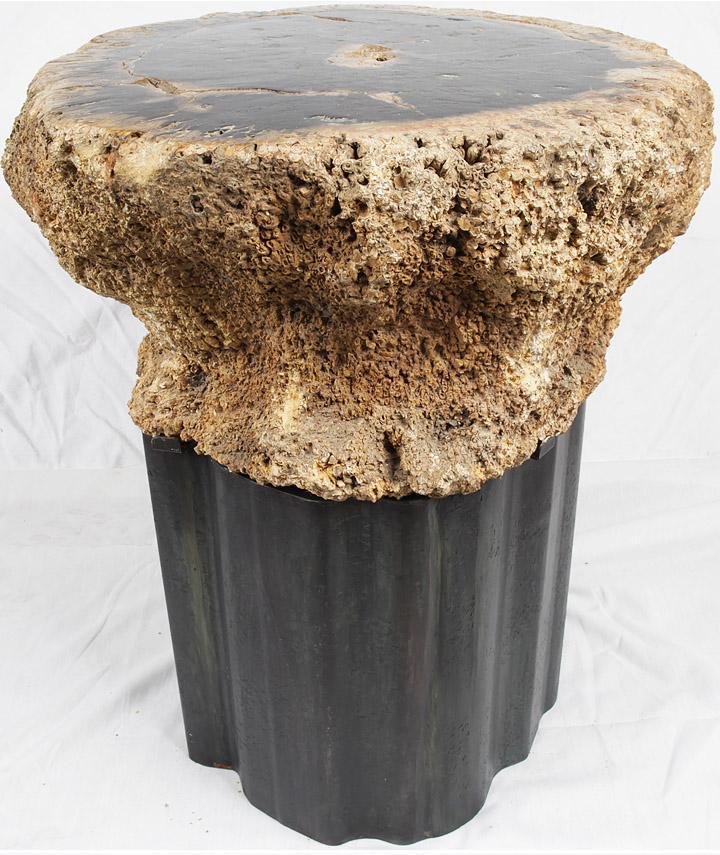 Petrified Coconut Palm Side Table #903-EH – Designs By Luca, Inc.